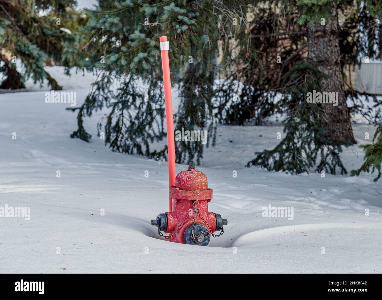 Fire Hydrant in deep snow, Winnipeg, Manitoba, Canada Stock Photo - Alamy