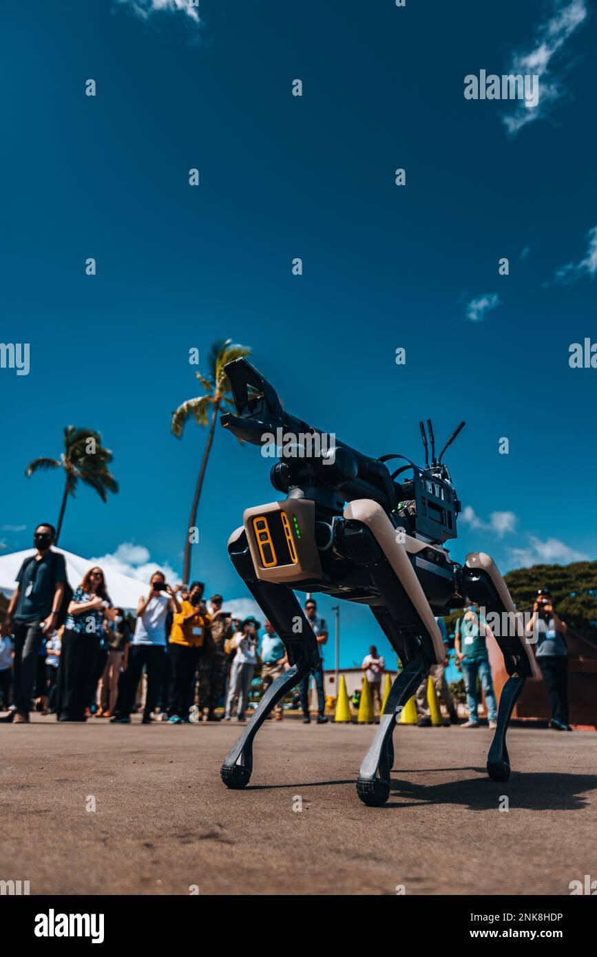 United States Customs and Border Protection, U.S. Coast Guard, and ...