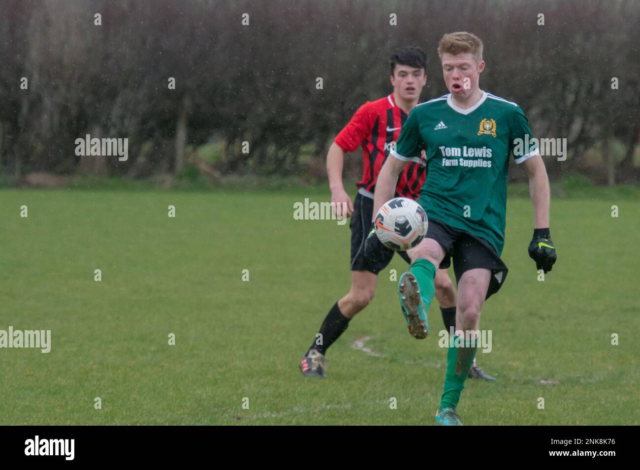 New Radnor, Wales 05 February 2022. Emrys Morgan Cup Quarter Final ...