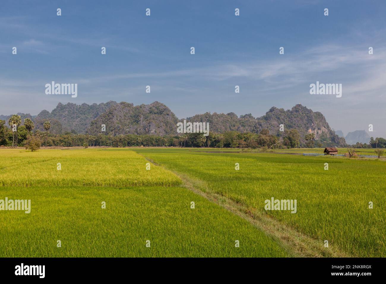 Green rice paddies with limestone mountains in Hpa-An province, Myanmar ...