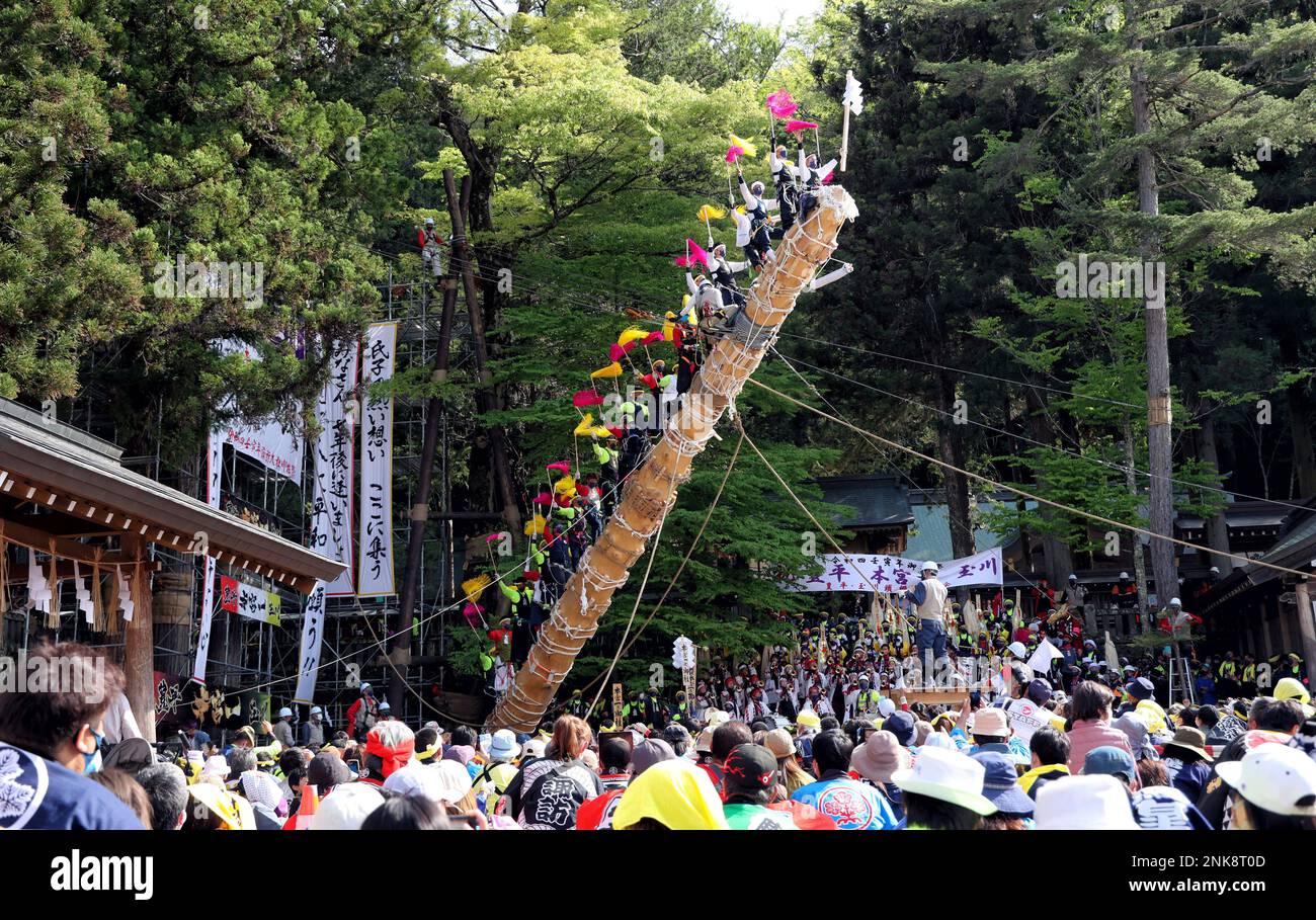 Parishioners of Suwa Shrine ride a huge tree for Onbashira Matsuri ...