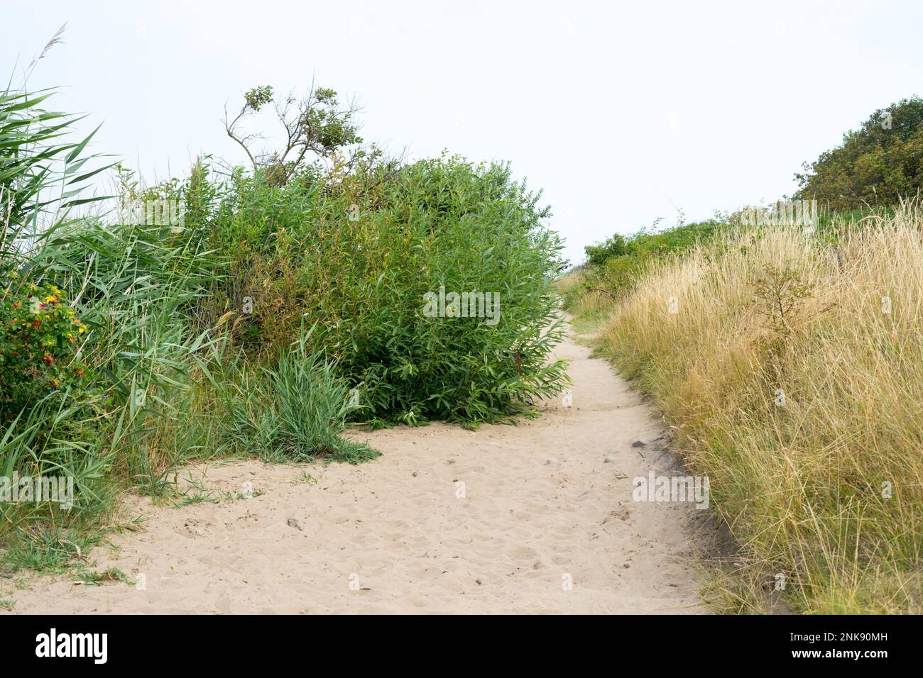 View from the Cliff at the coast on the Baltic Sea, beach, sand and sun ...