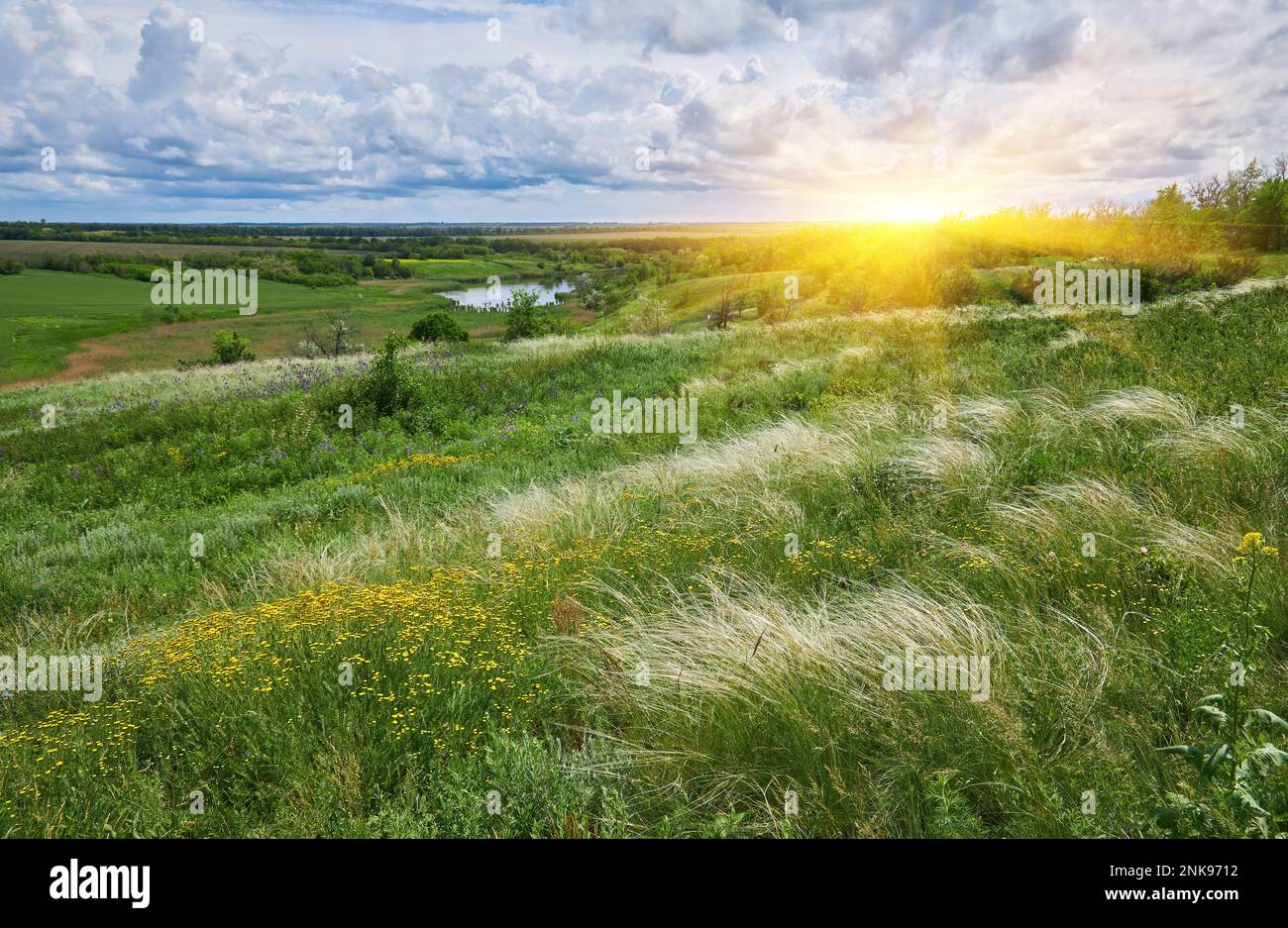 green earth, fields of Ukraine, grains sky, green grass Stock Photo - Alamy