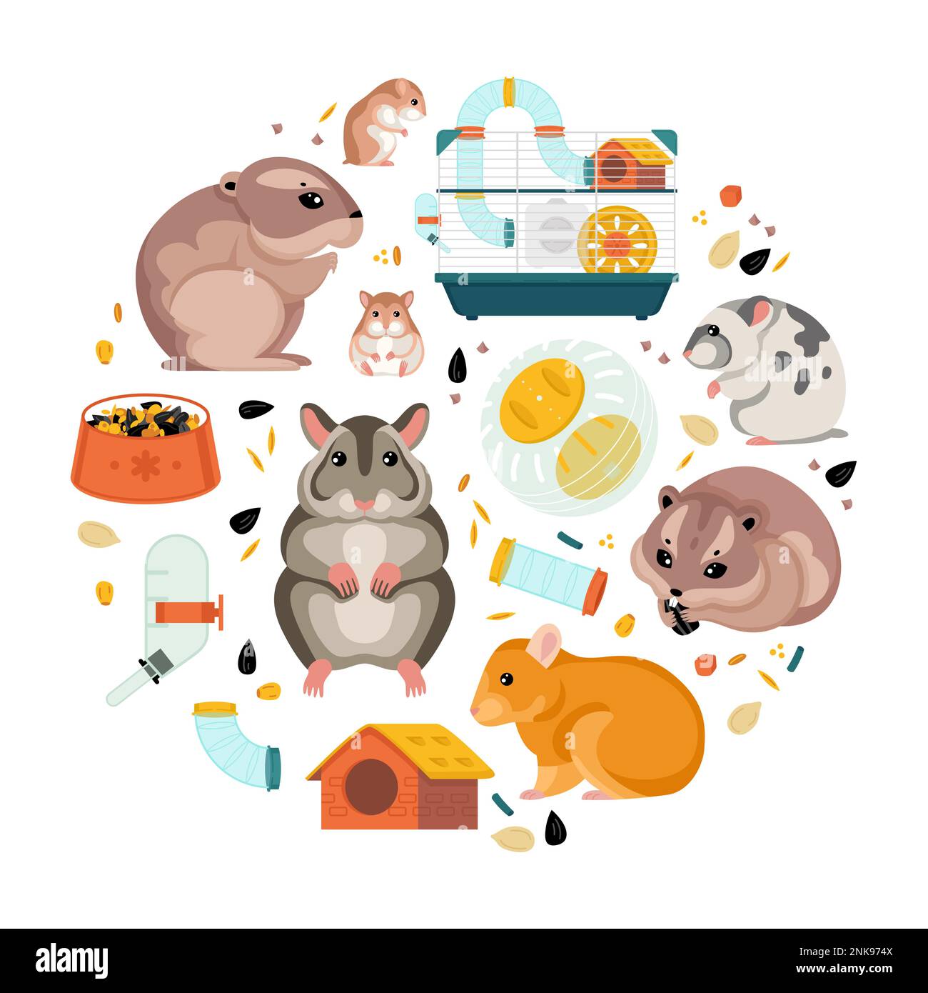 Hamster flat round composition with cute animals food and cage with ...
