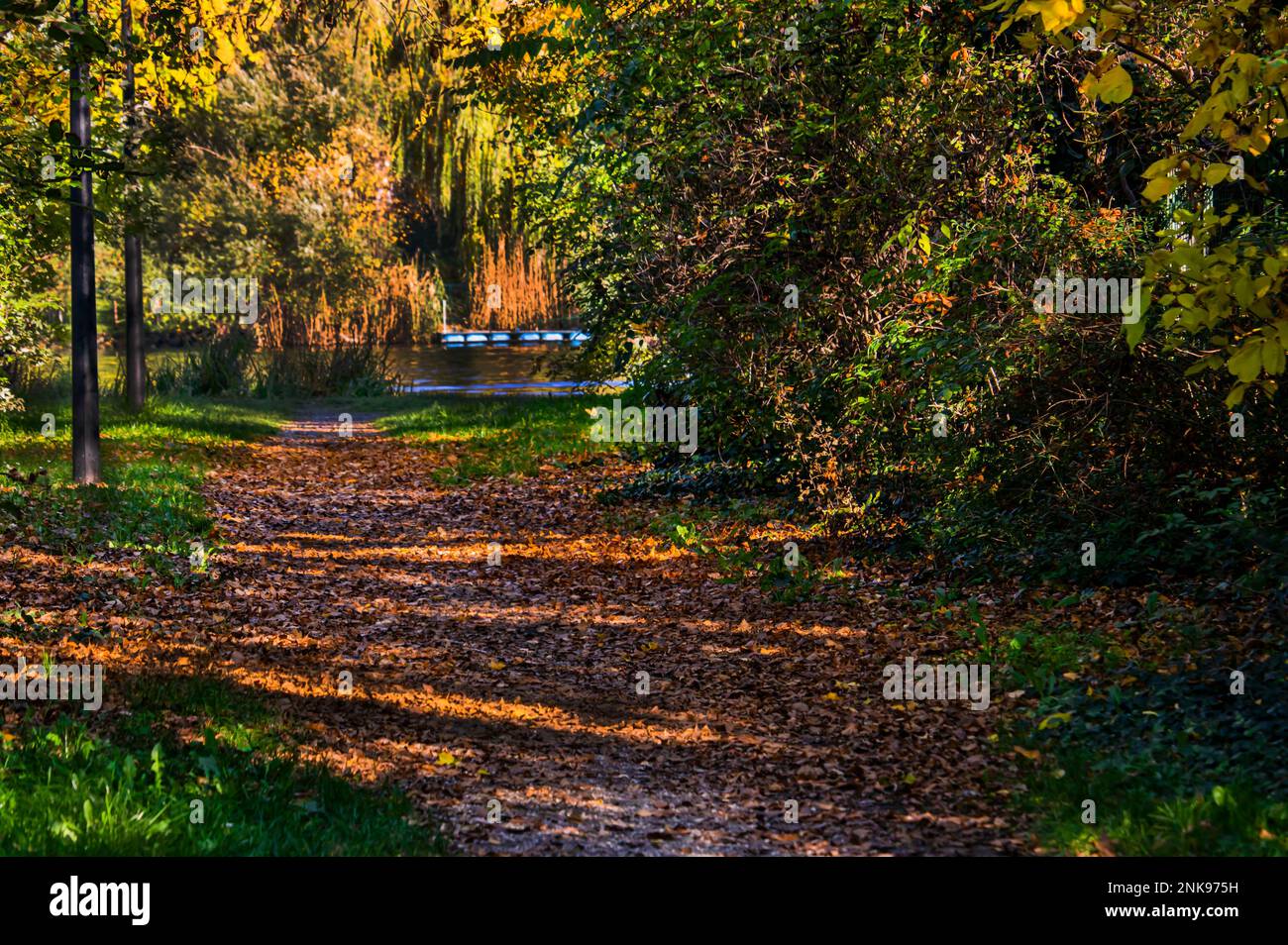 footpath,Footpath in the dry leaves Stock Photo - Alamy
