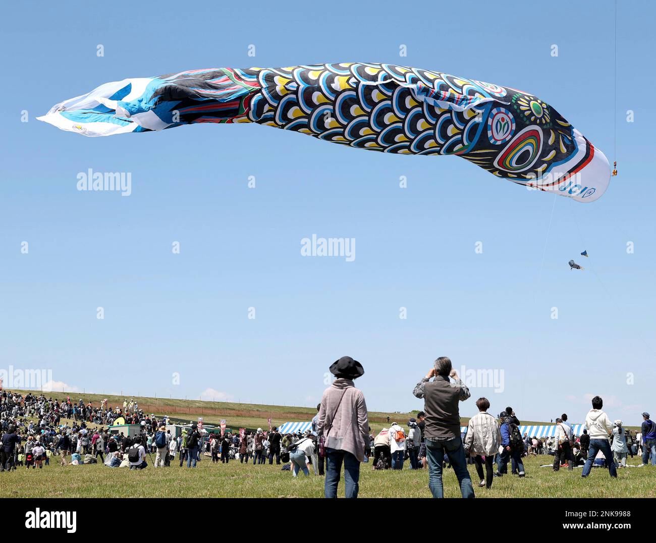 A 100-meter-log carp streamer float in the air during Kazo Shimin Heiwa ...