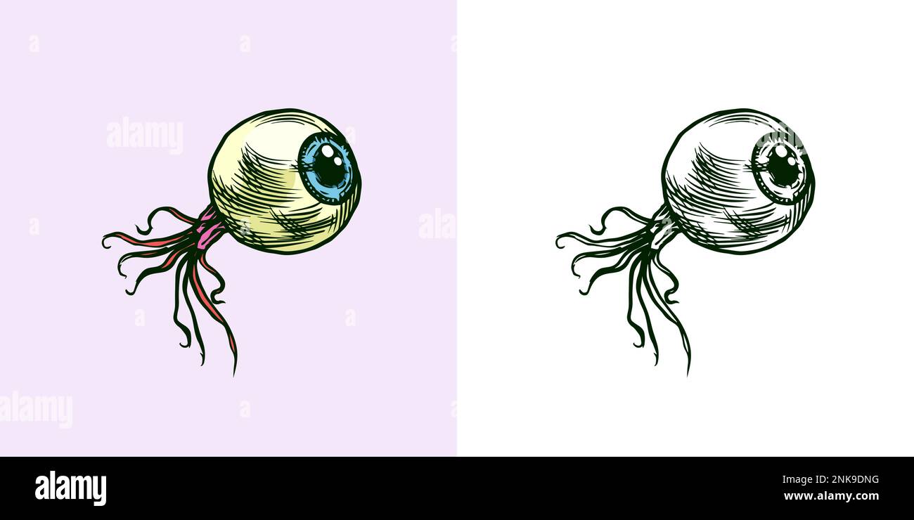 Cornea or Muscles of Human eye. Vintage engraving sketch. Doodle ...