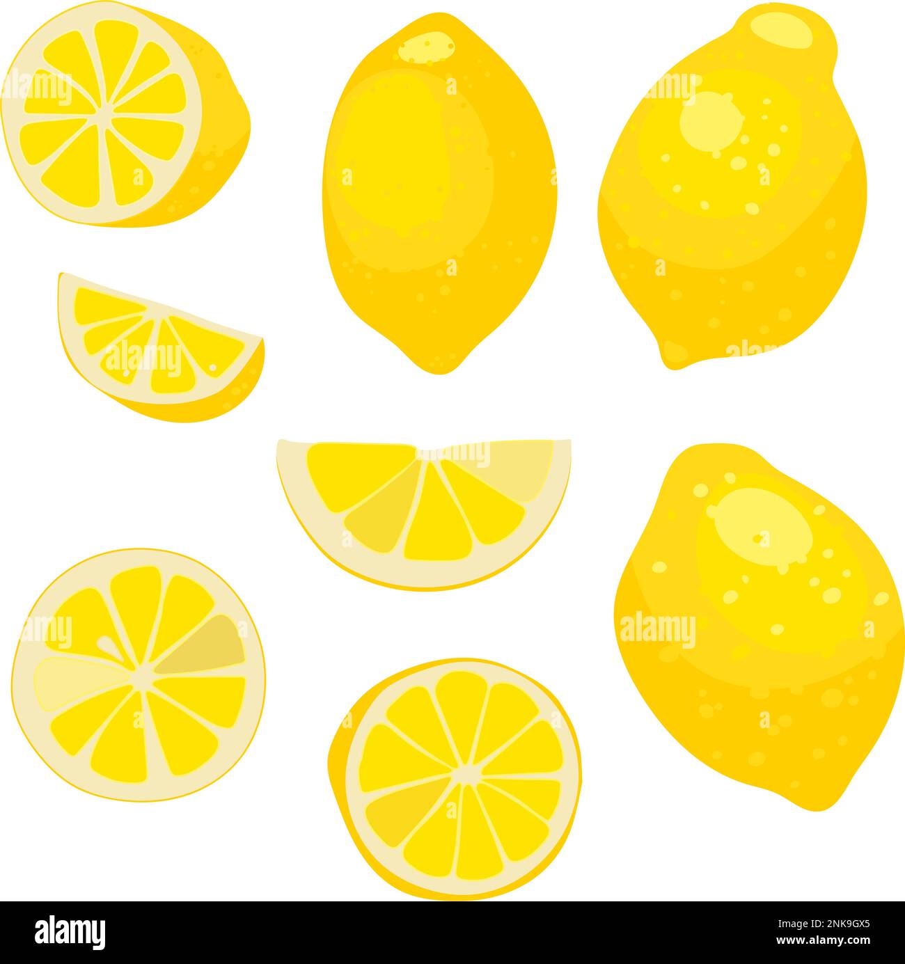 lemon, whole fruit, whole and slices of lemon, vector illustration ...