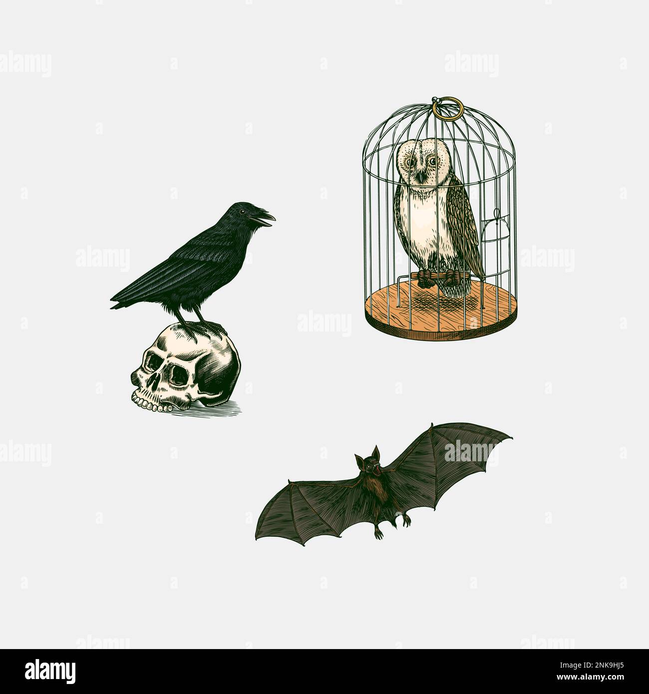 A crow on a skull, an owl in a cage, a bat. Witch animals. Beldam and ...