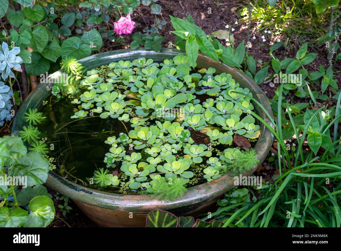 Water feature in the ceramic studio of master artist Angelica Delina ...