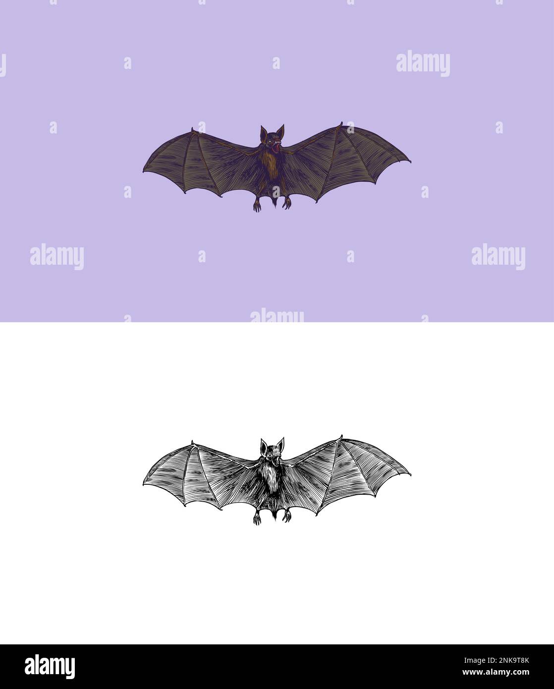 Screaming flying bat sketch. Vintage engraving sketch. Doodle outline ...