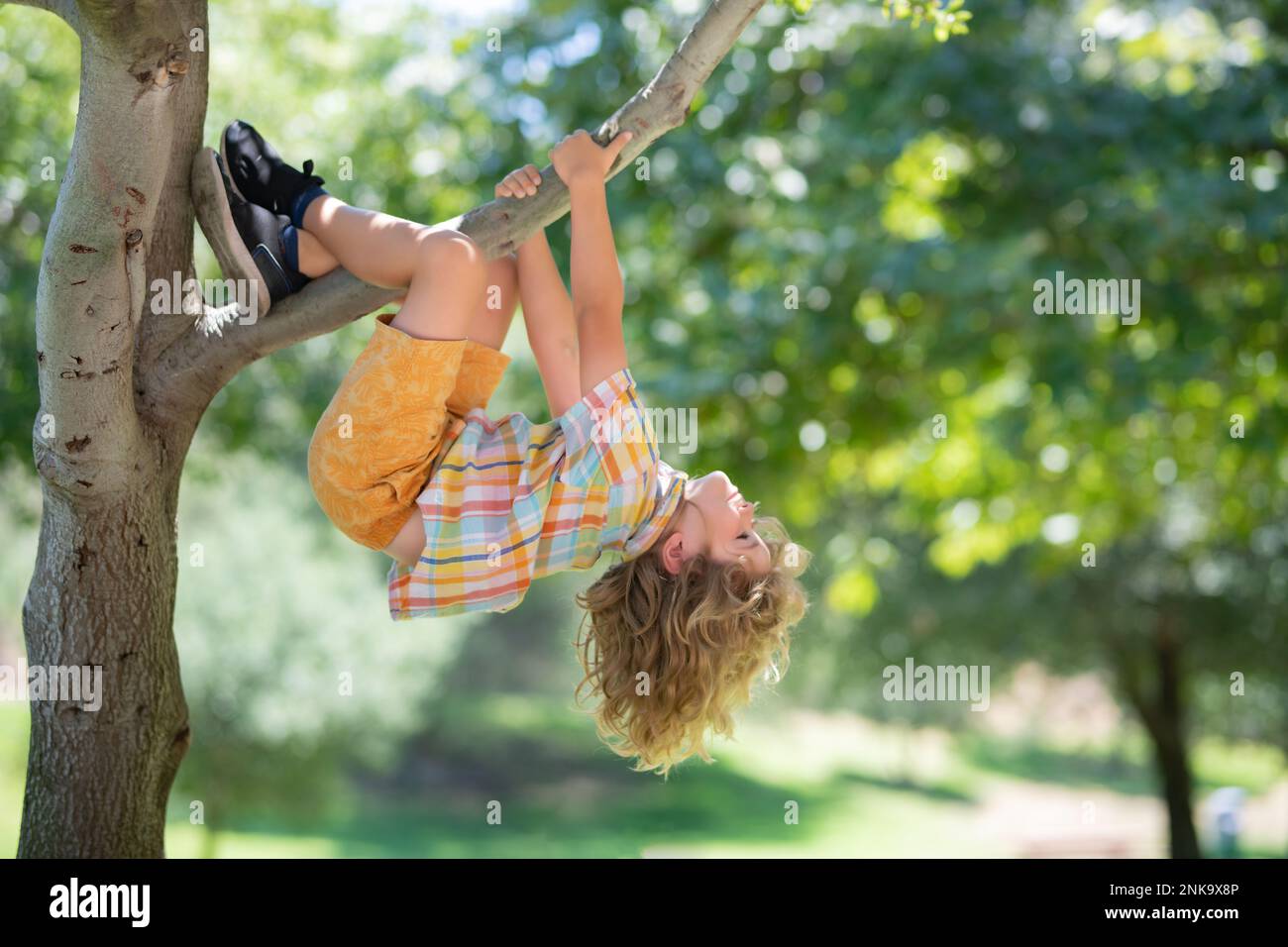 Funny child climbing a tree in the garden. Active kid playing outdoors ...