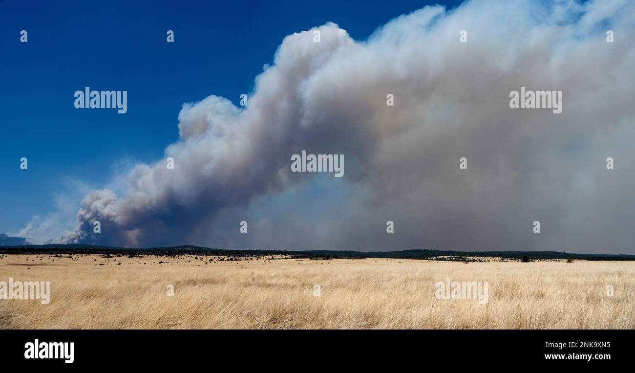 The Calf Canyon Fire burning near Mineral Hill in the Gallinas Canyon ...