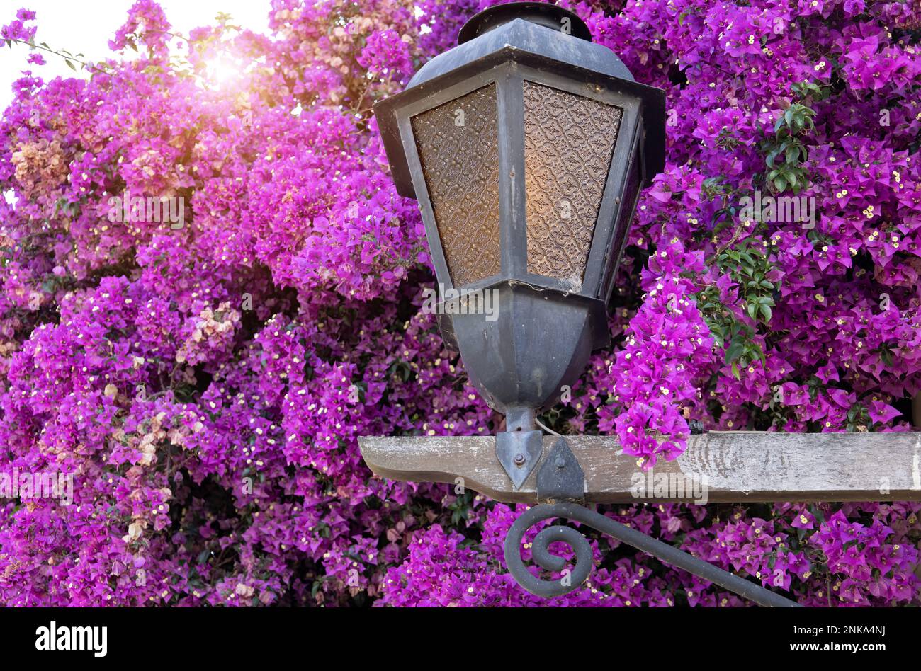 Uruguay, colonial streets of Colonia Del Sacramento in historic center ...