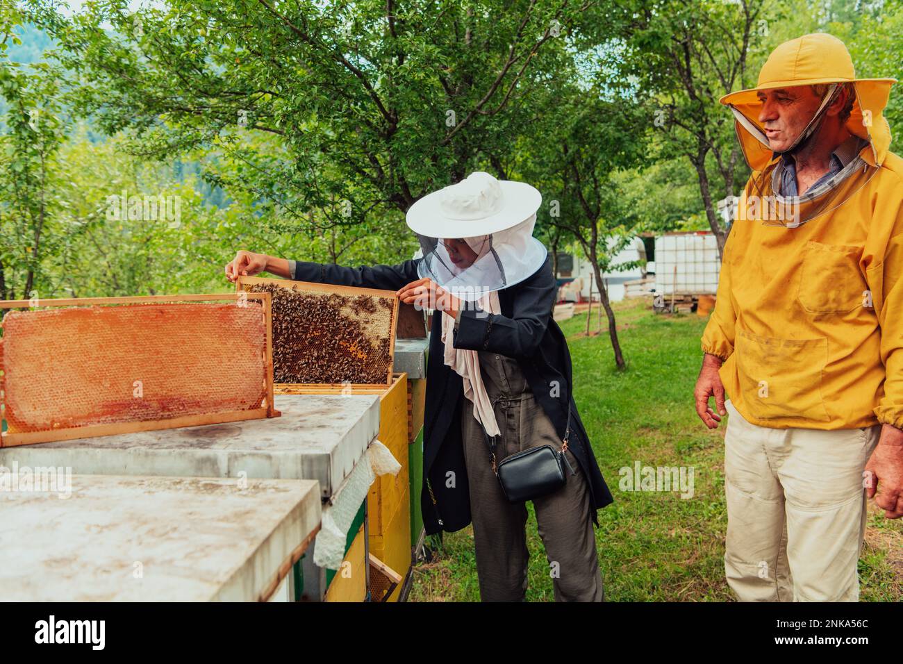 African American Muslim women with an experienced senior beekeeper ...