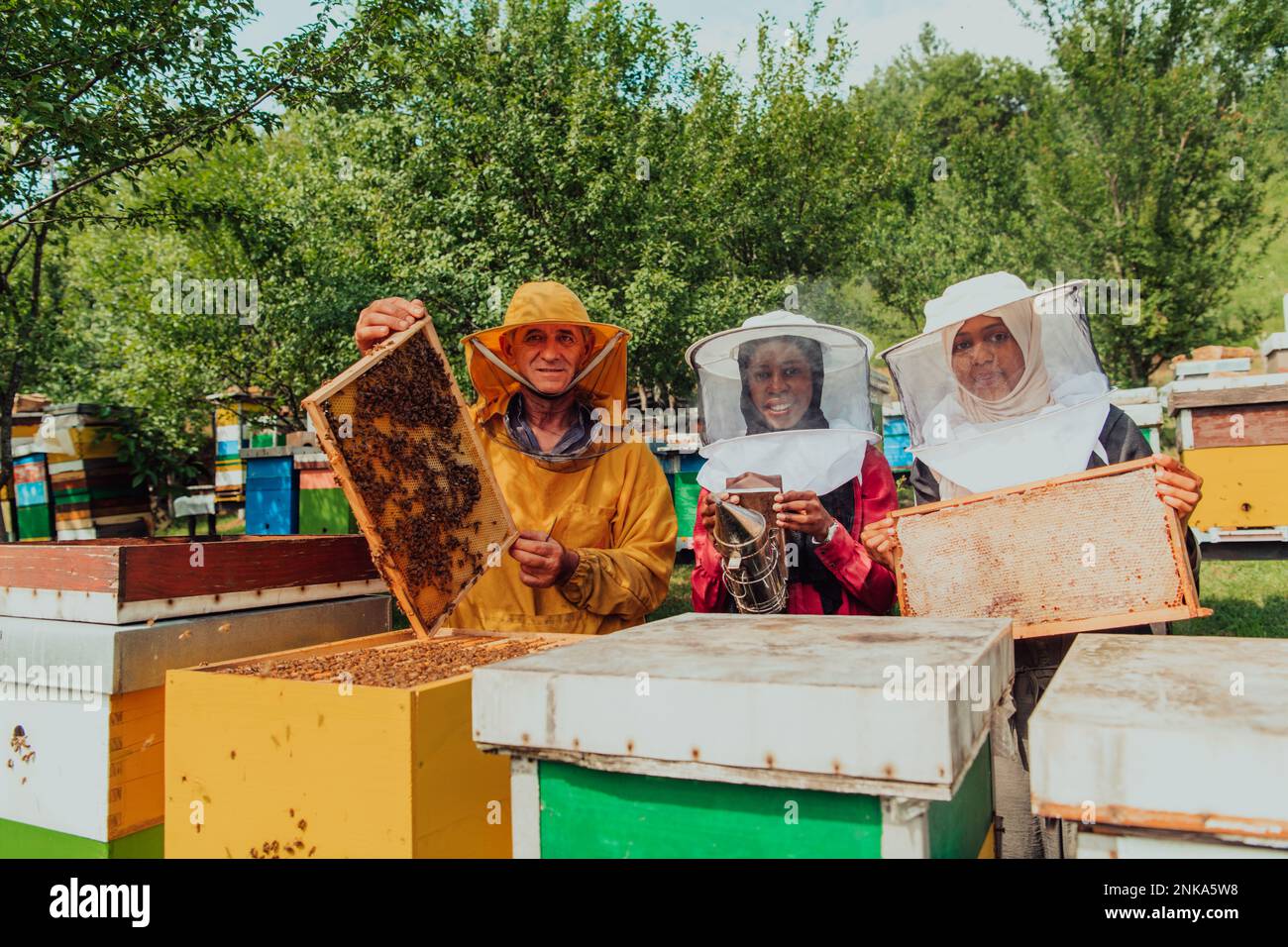 Arab investors checking the quality of honey on a large bee farm in ...