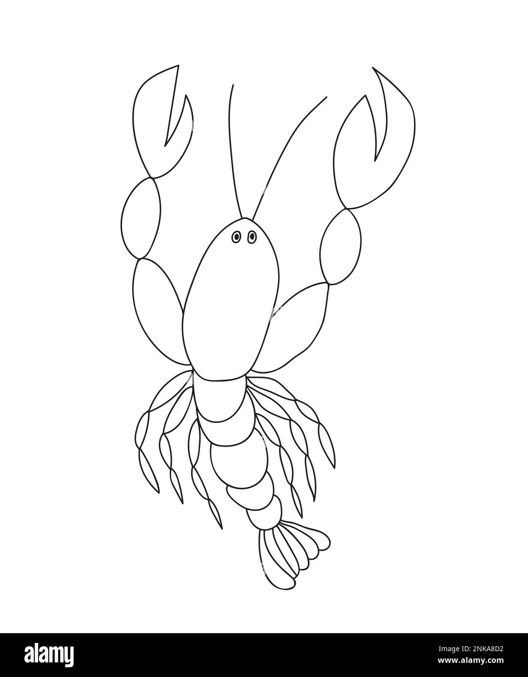 Crayfish crawfish lobster line hi-res stock photography and images - Alamy