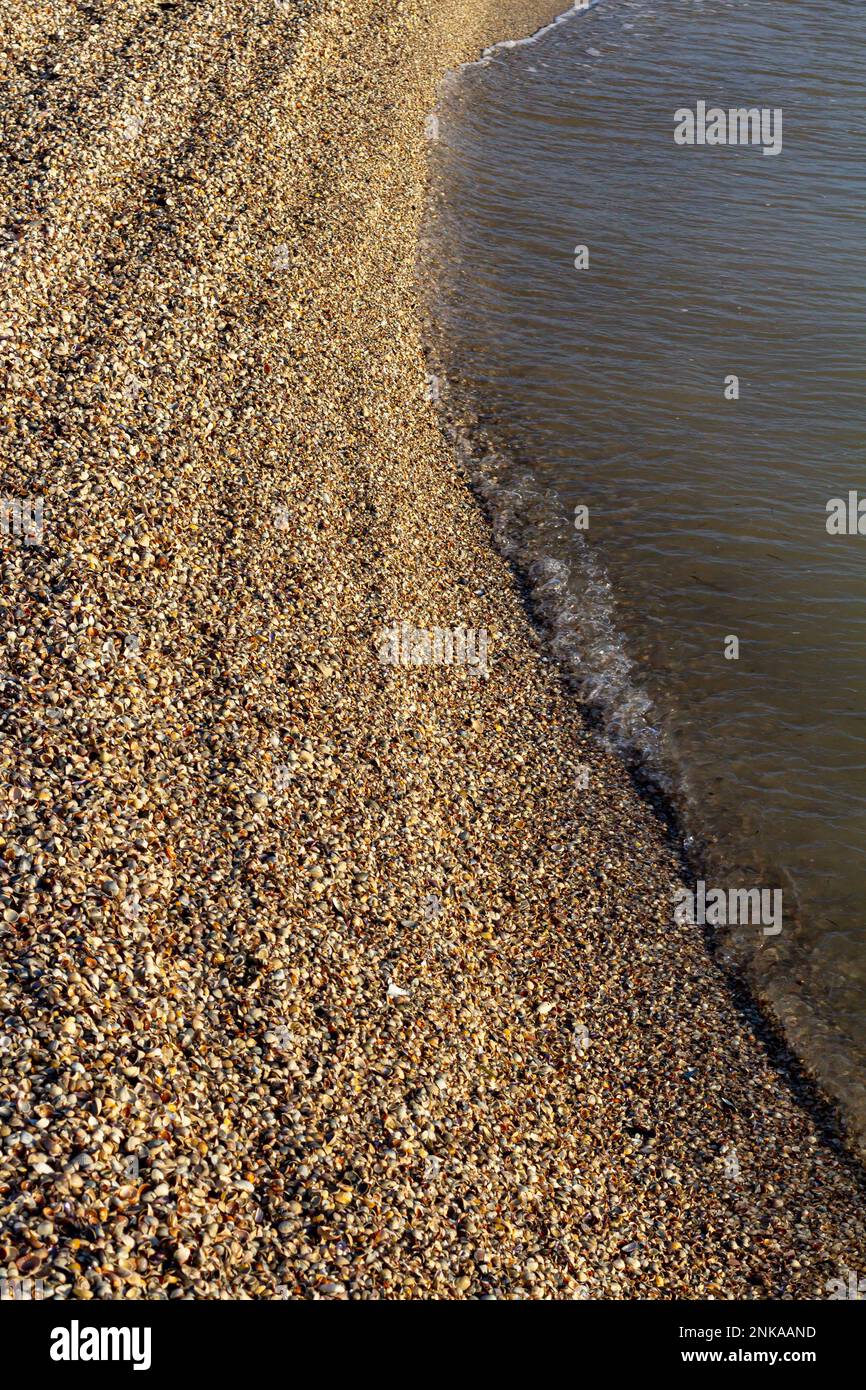 the sandy shore of the sea beach with shells and waves. background ...