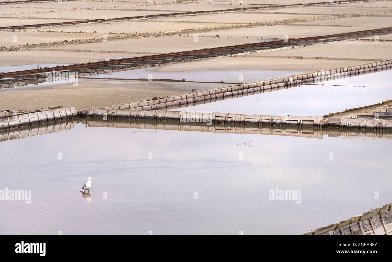 Panoramic view salt evaporation hi-res stock photography and images - Alamy