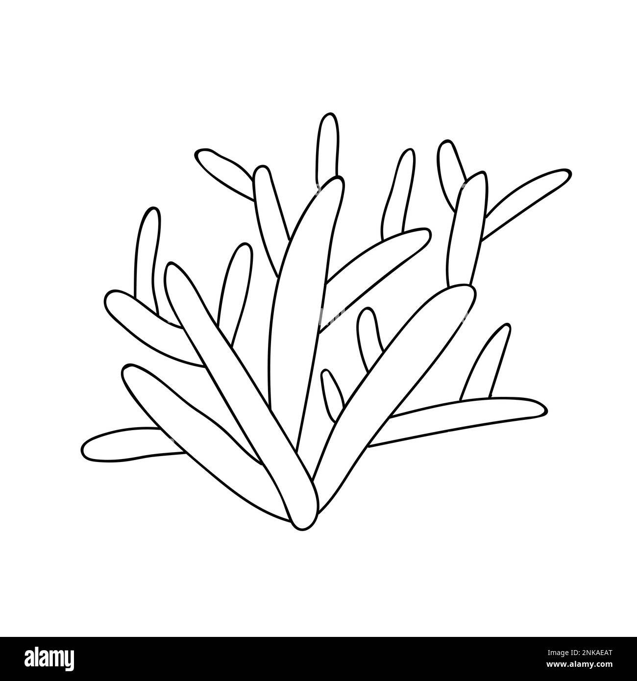 Hand drawn coral reef illustration Stock Vector Image & Art - Alamy