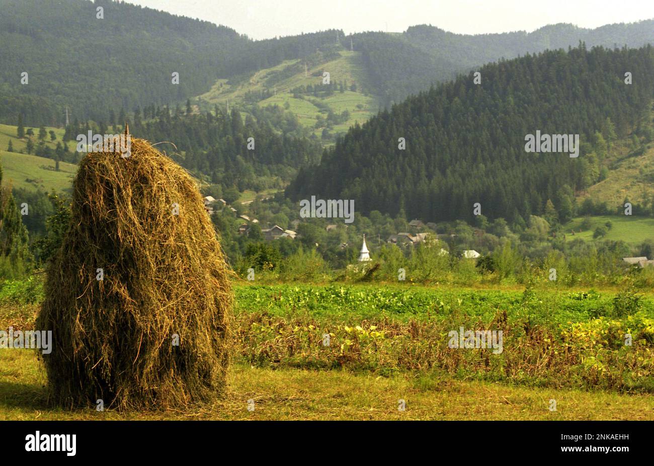 Podisul sucevei hi-res stock photography and images - Alamy