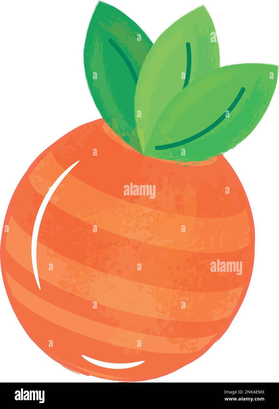 Round carrot Stock Vector Images - Alamy