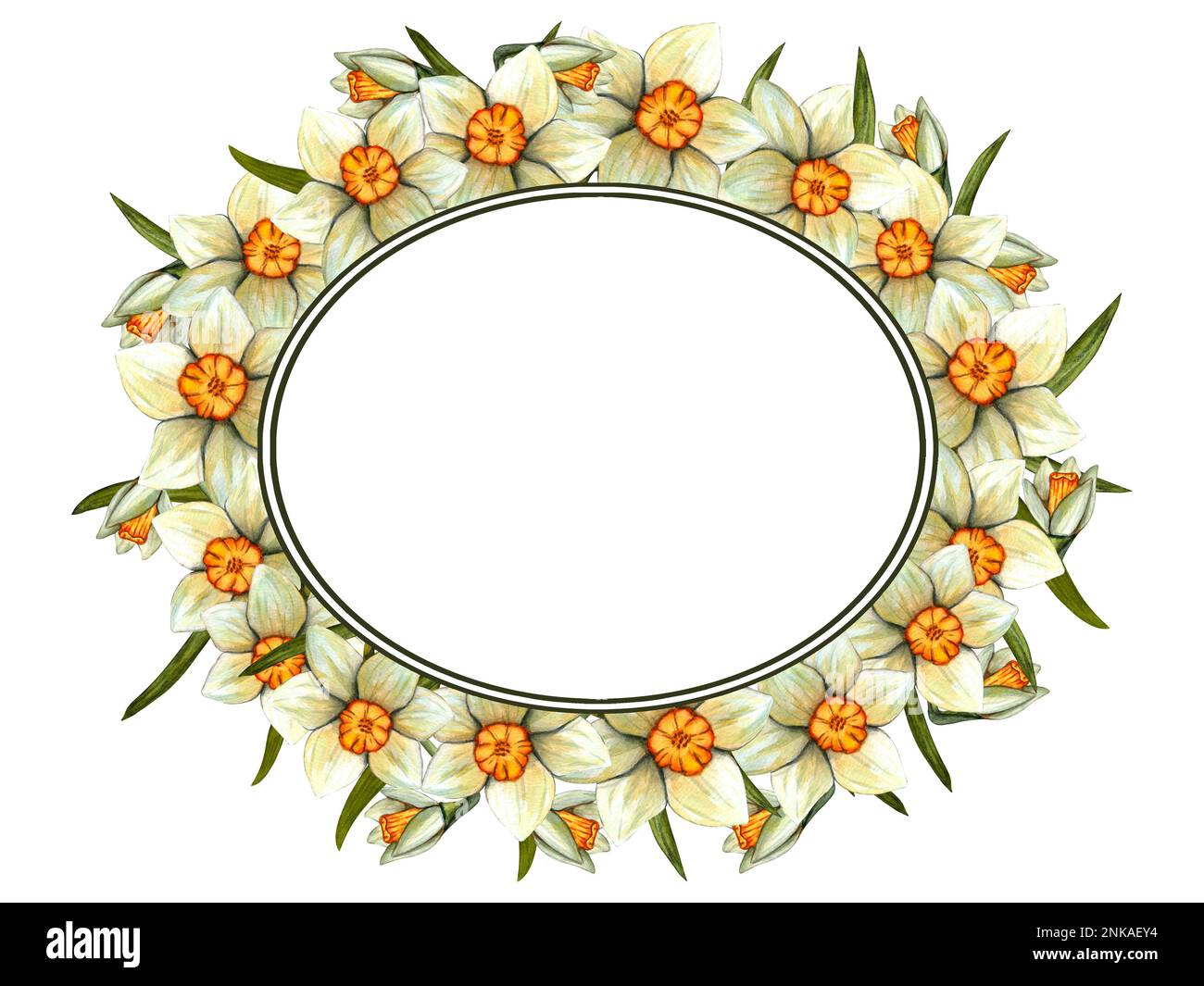 Watercolor frame easter with daffodil. Spring hand drawn illustration isolated on white ...