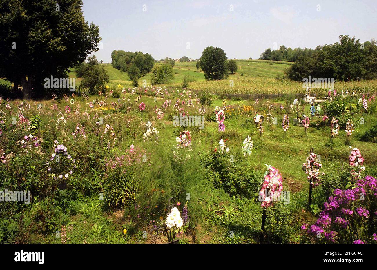 Crosses in the cemetery of the Polish community in Solonetu Nou ...