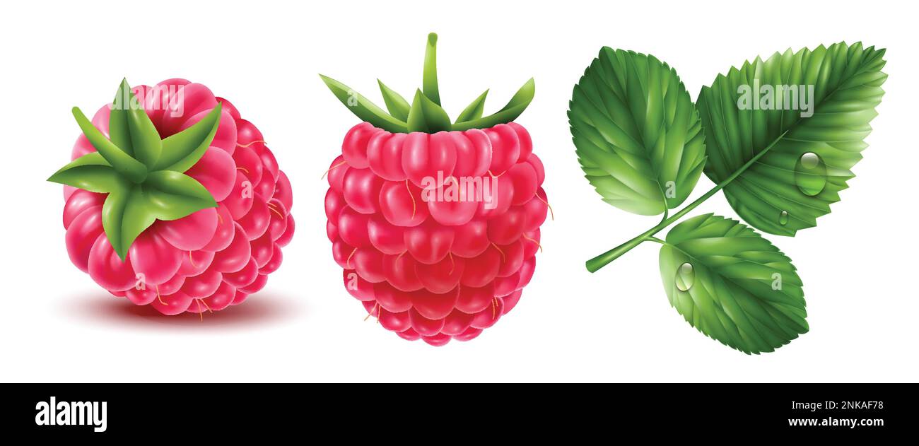 Realistic raspberry icons set with berries and leaves on white ...