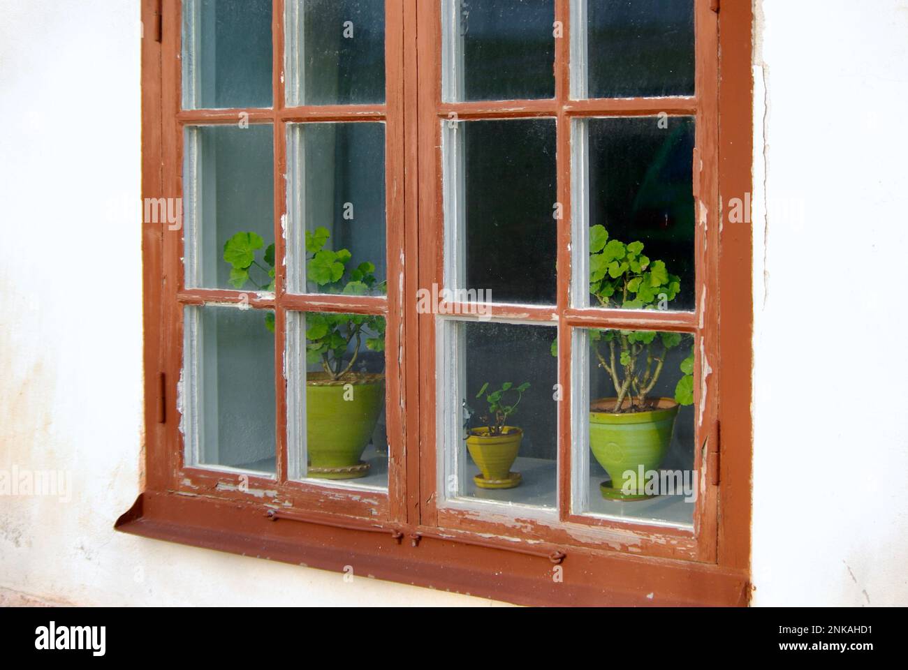 Window with small panes and brown painted frames and flower pots inside ...