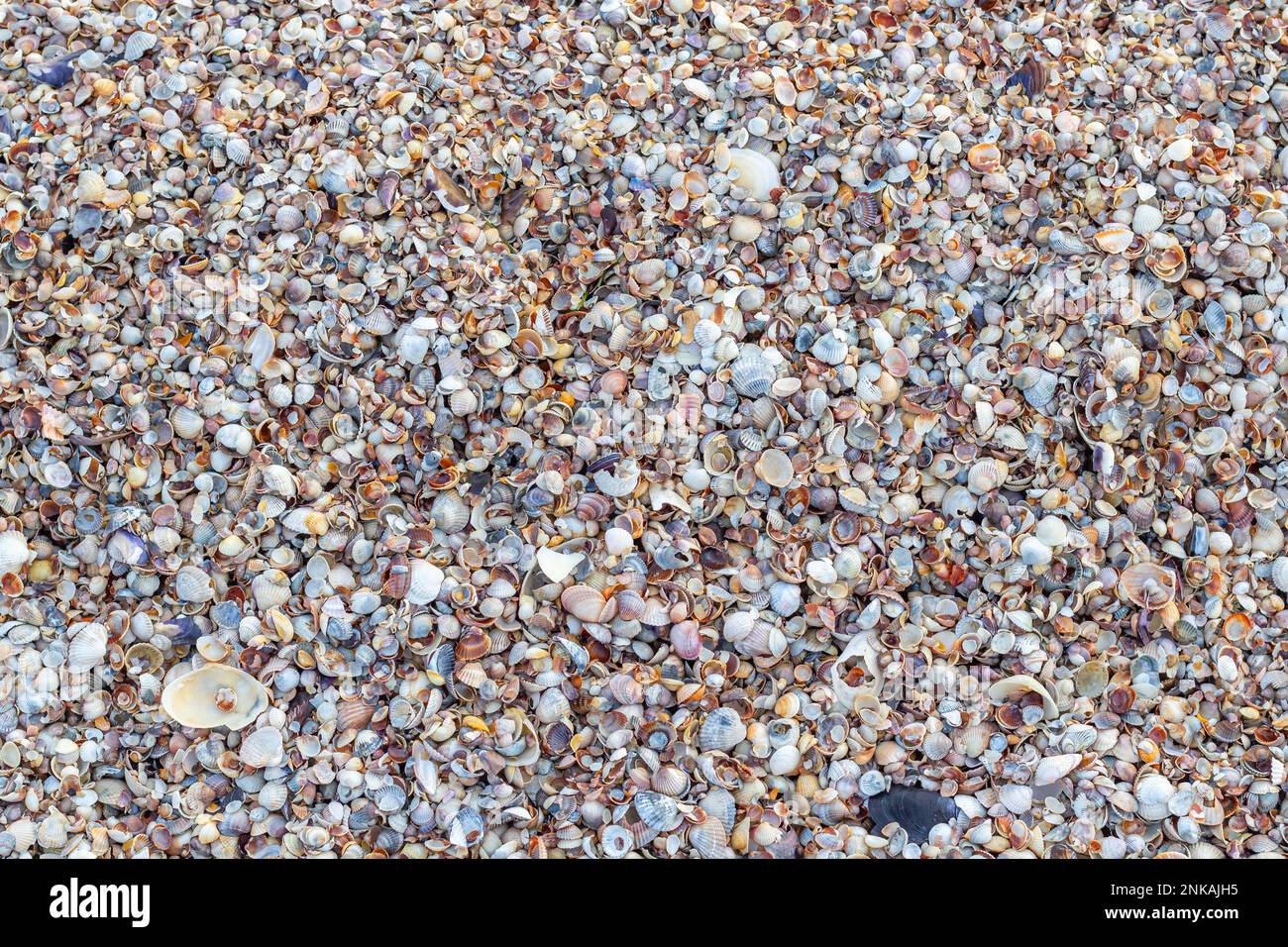 Tropical beach coast underwater view hi-res stock photography and ...
