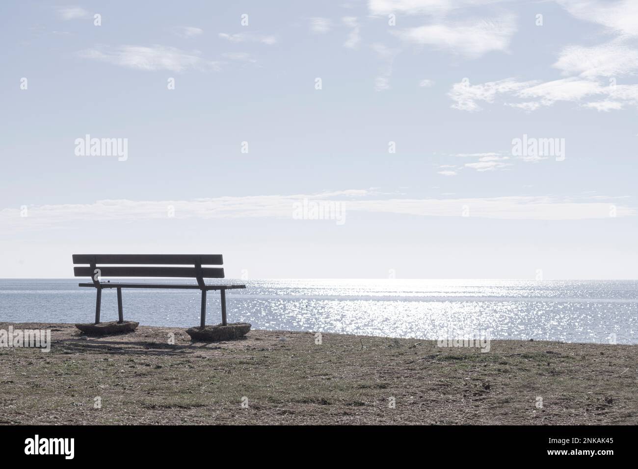 Front view isolated nature hi-res stock photography and images - Alamy