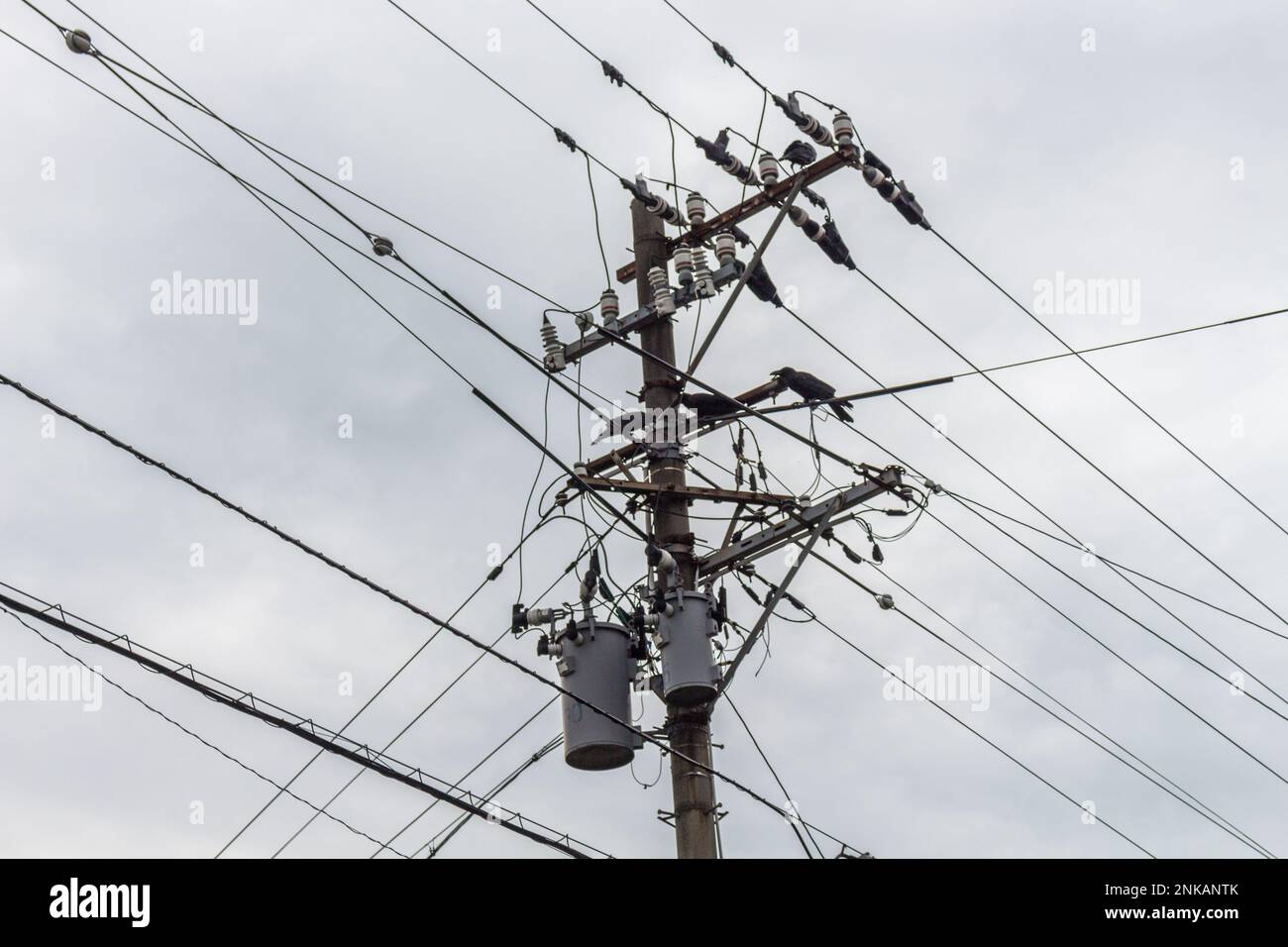 Japanese electric power transmission line hi-res stock photography and ...