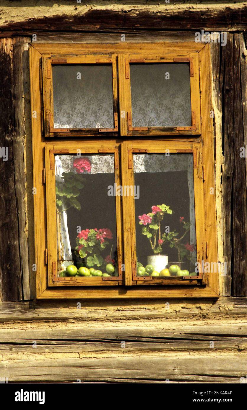 Solonetu Nou, Suceava County, Romania, 2001. Rustic window of an old ...