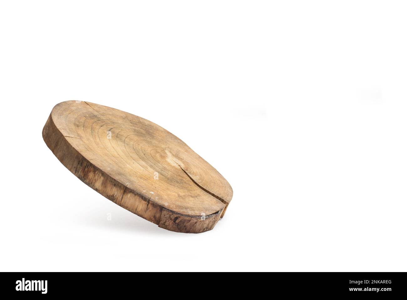 Tree trunk slice on a white background with copy space Stock Photo - Alamy