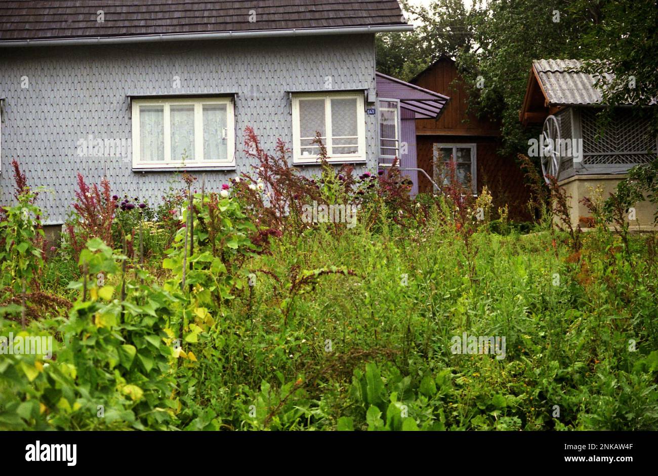 Solonetu Nou, Suceava County, Romania, 2001. A homestead with a ...
