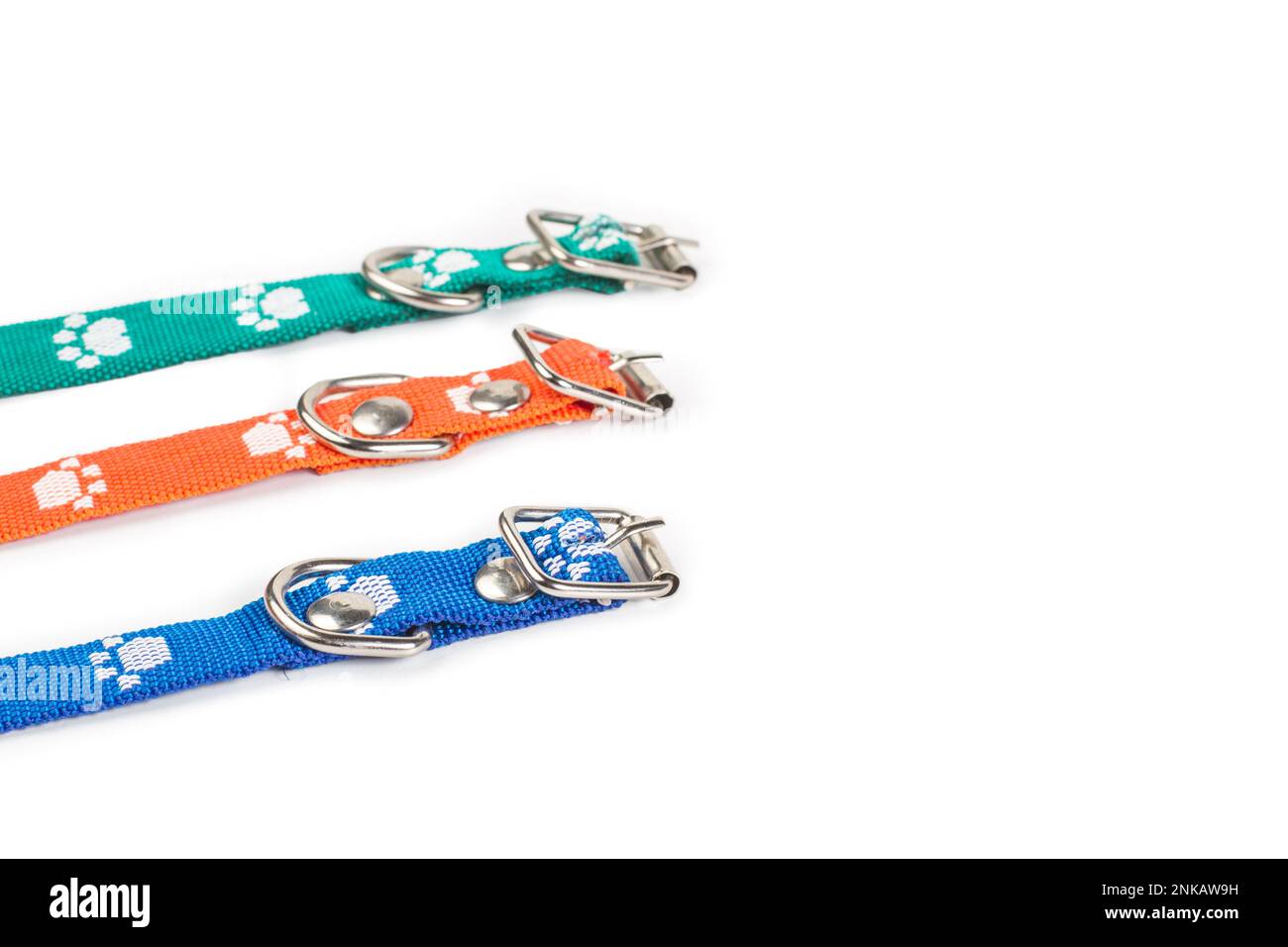 Colored dog collars on a white background with copy space Stock Photo ...