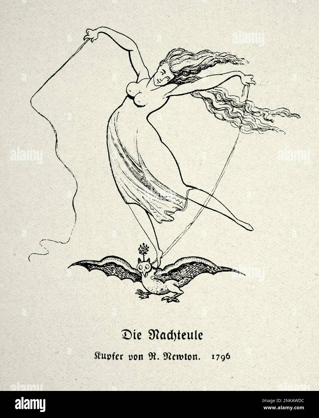 18th century bird illustration flying hi-res stock photography and ...