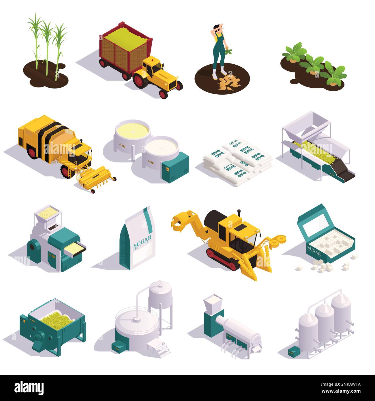 Sugar production isometric set of equipment for harvesting and ...