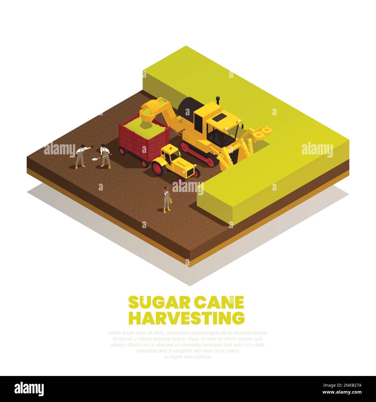 Sugar milling Stock Vector Images - Alamy