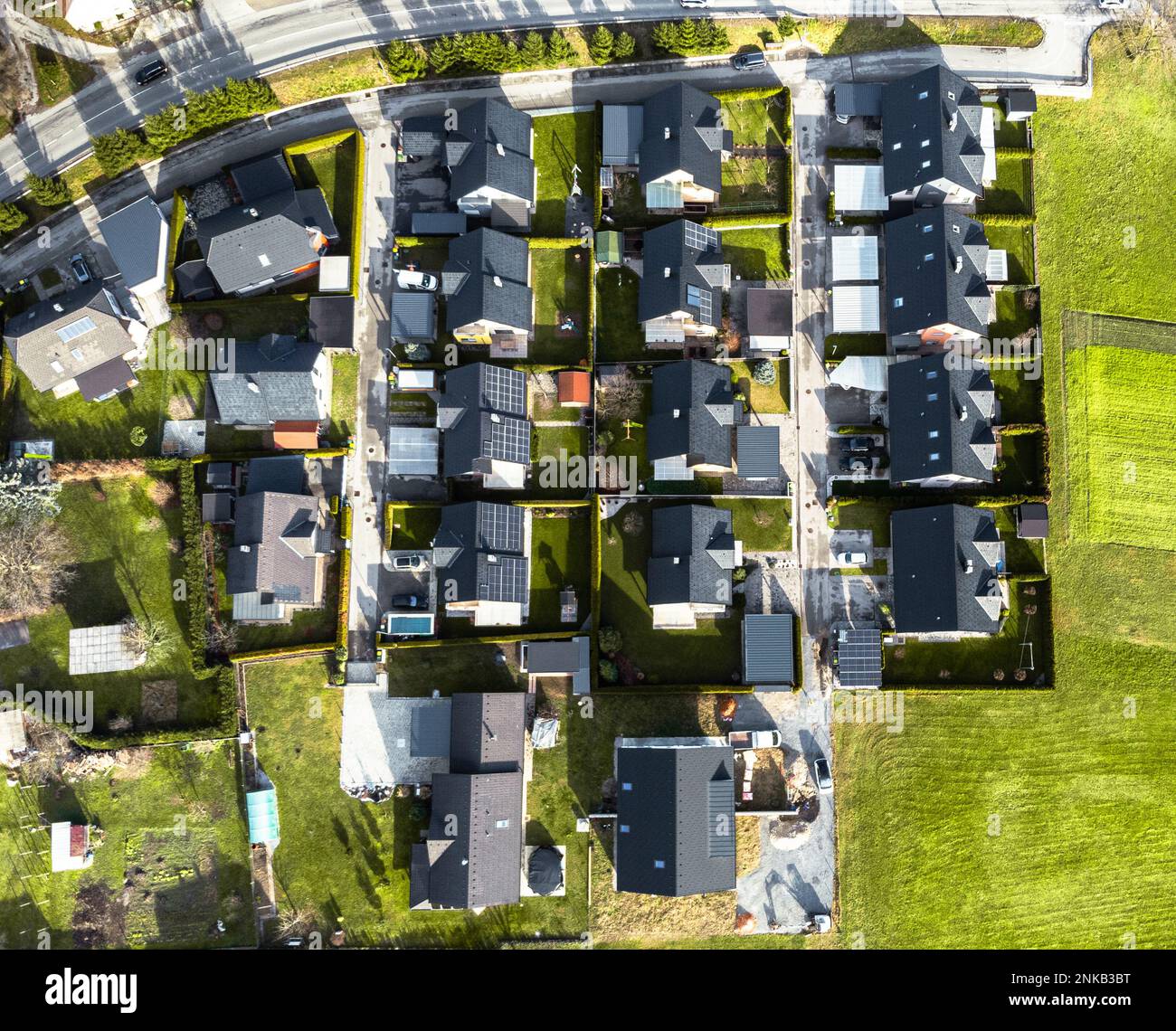 Aerial view to street with tree row in field landscape hi-res stock ...