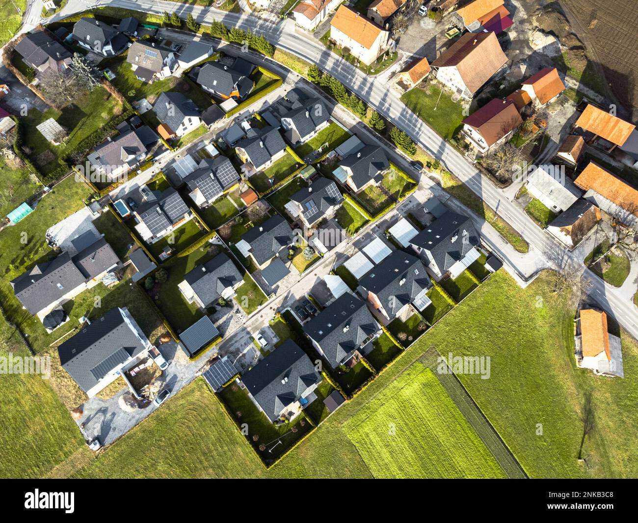 Aerial view to street with tree row in field landscape hi-res stock ...