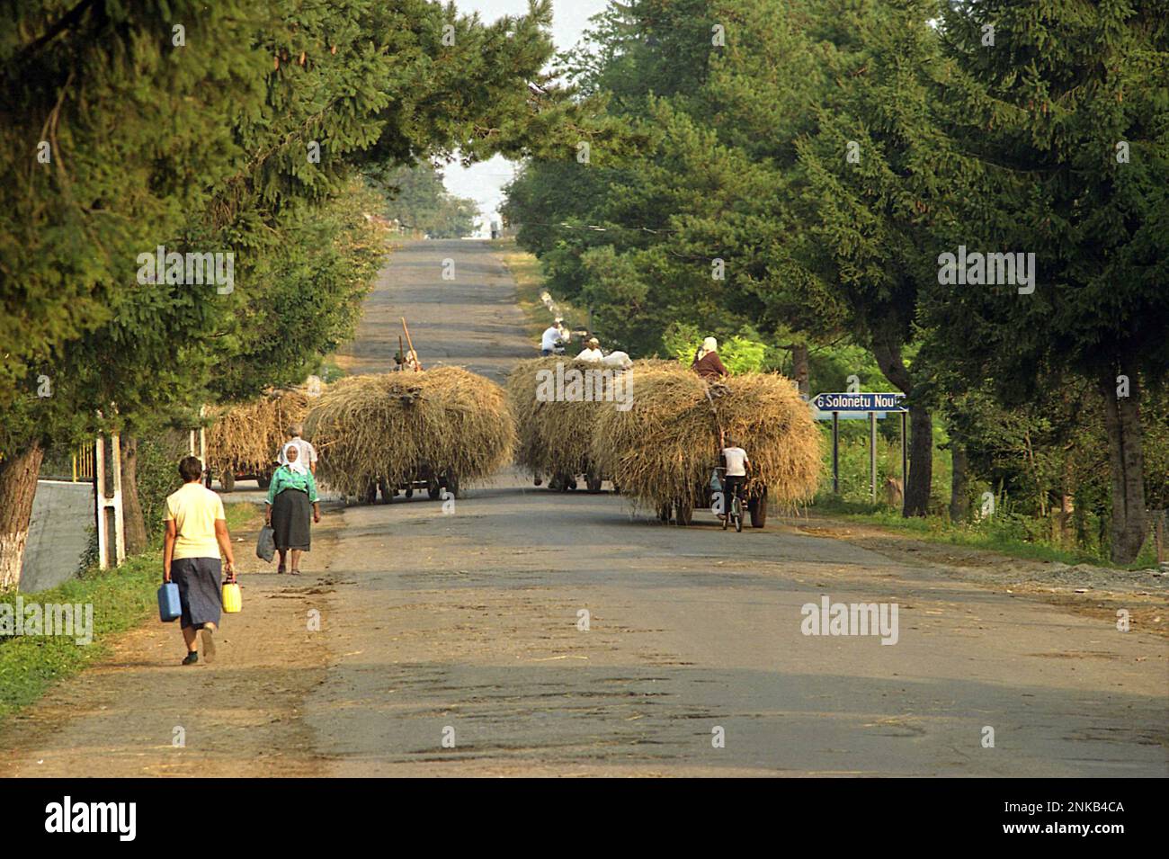 Solonetu Nou, Suceava County, Romania, 2001. Horse-drawn wagons ...