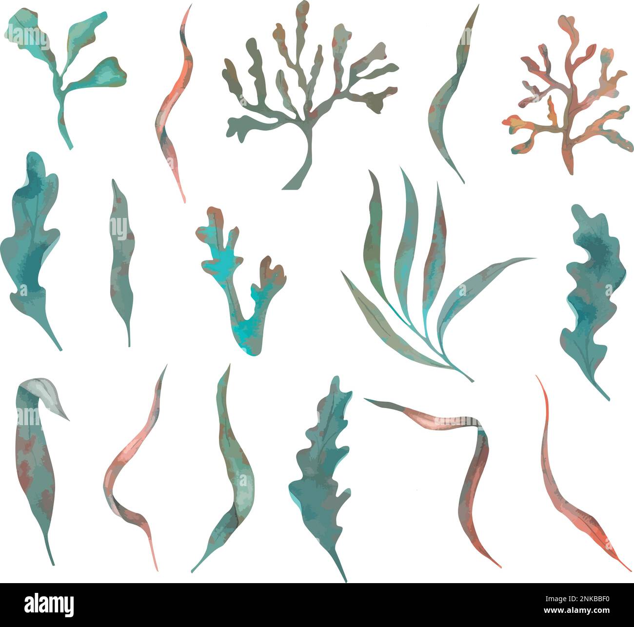 Set of vector algae, underwater plants in turquoise, hand-drawn ...
