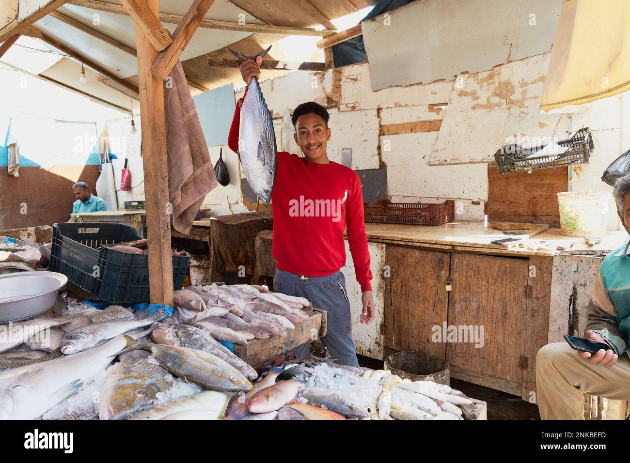 HURGHADA, EGYPT - FEBRUARY 19, 2022: Local fish seller sitting in the ...