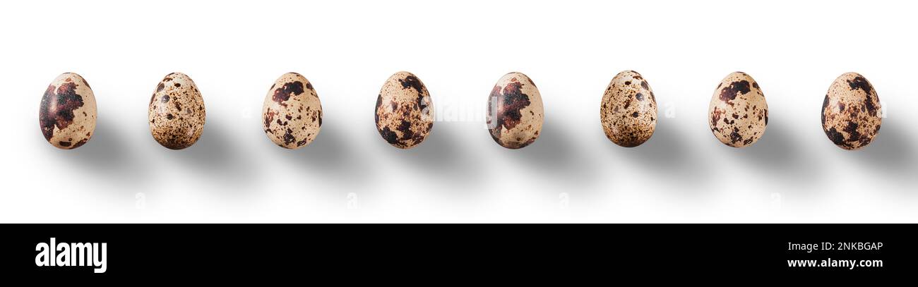 Line with shadows from quail eggs isolated on white Stock Photo - Alamy