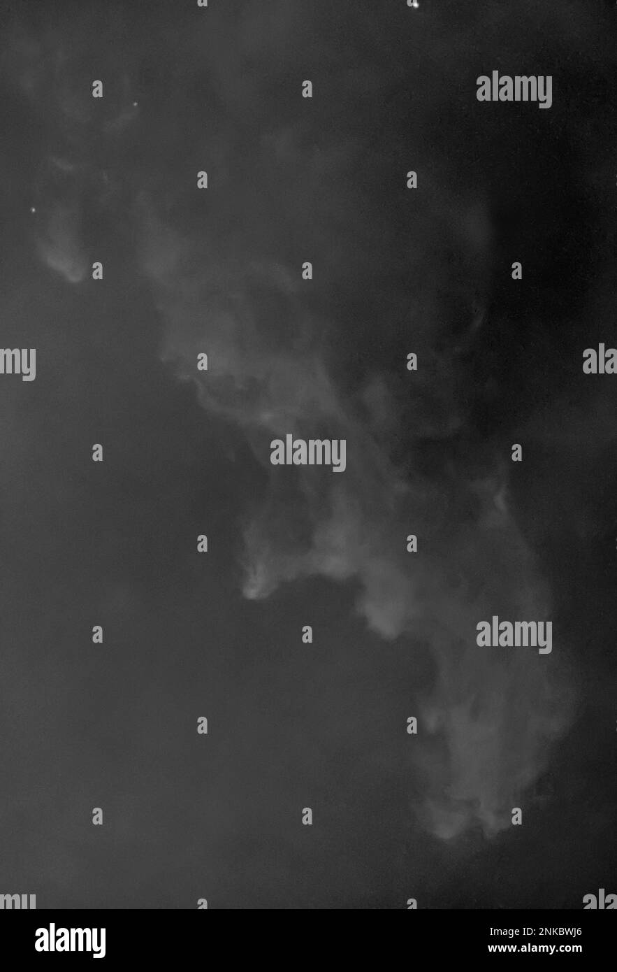 Witch Head Nebula, IC2118, reflection nebula near the star Rigel in the ...