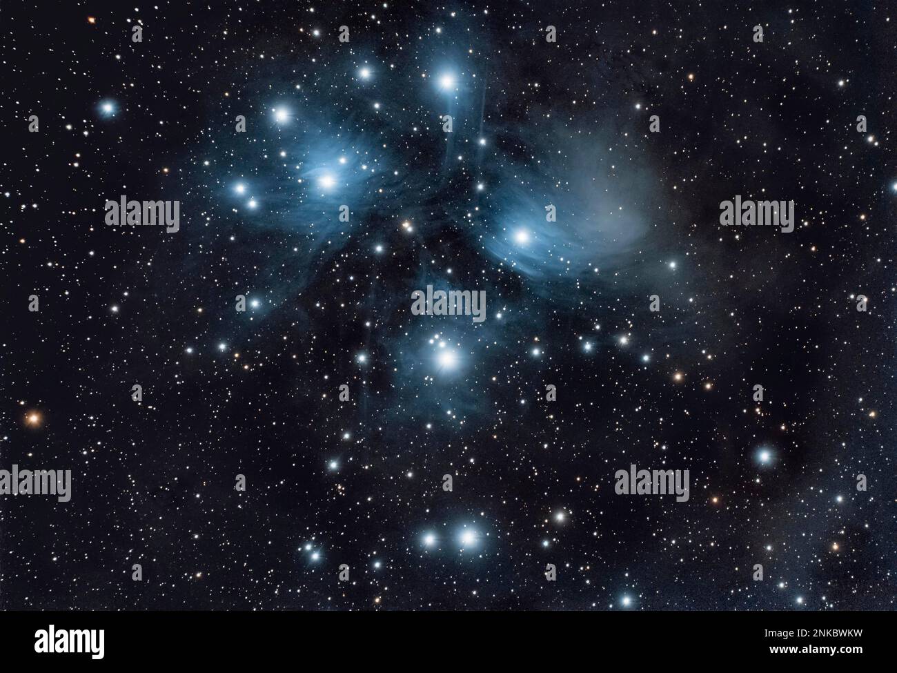 Pleiades with Reflection Nebula, M45, open star cluster in the constellation Taurus Stock Photo ...