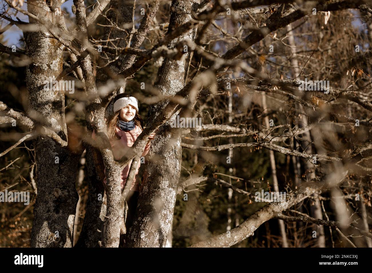 Girl climbing in a tree Stock Photo - Alamy