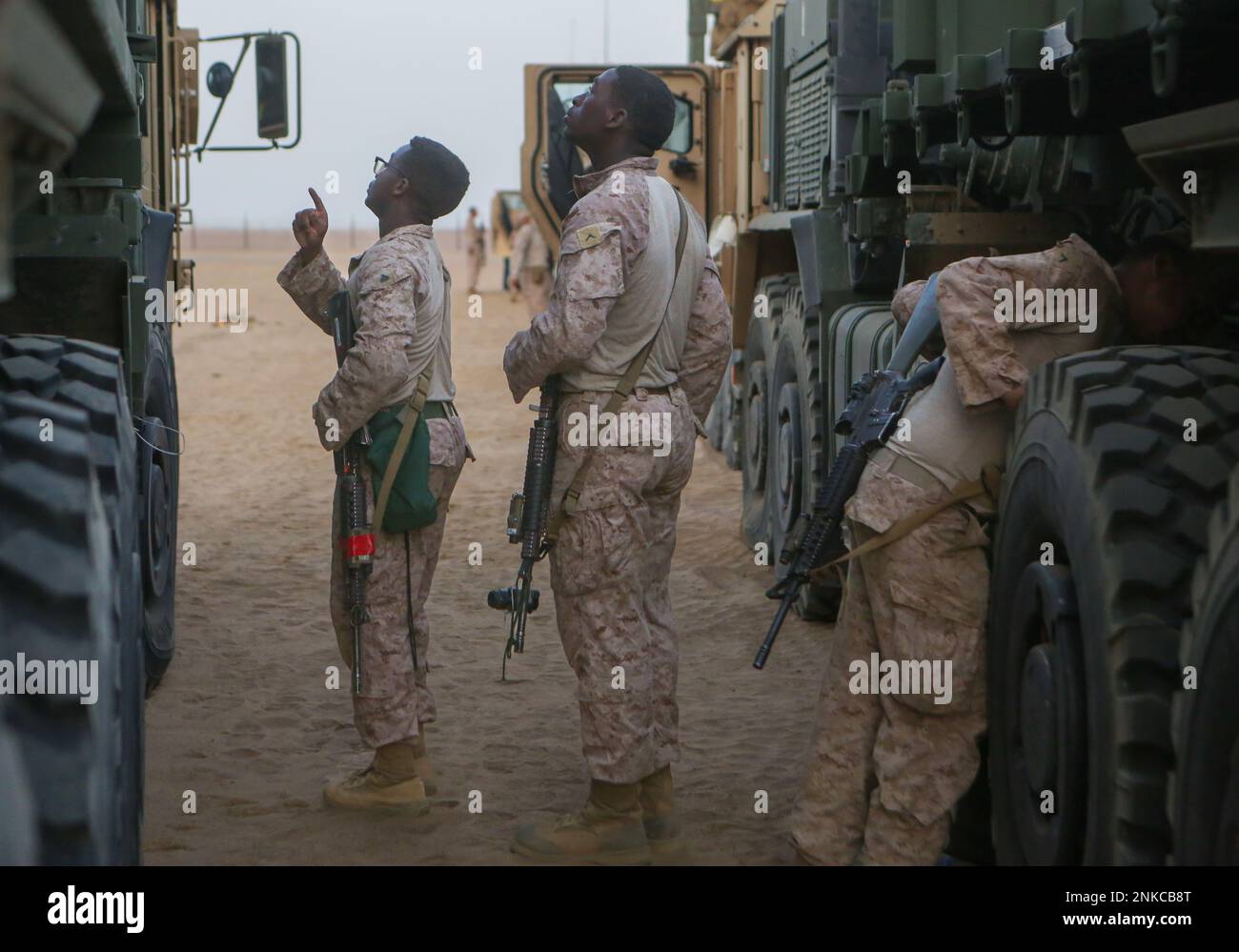 U.S. Marines with 1st Transportation Battalion, Combat Logistics Regiment 1, 1st Marine ...